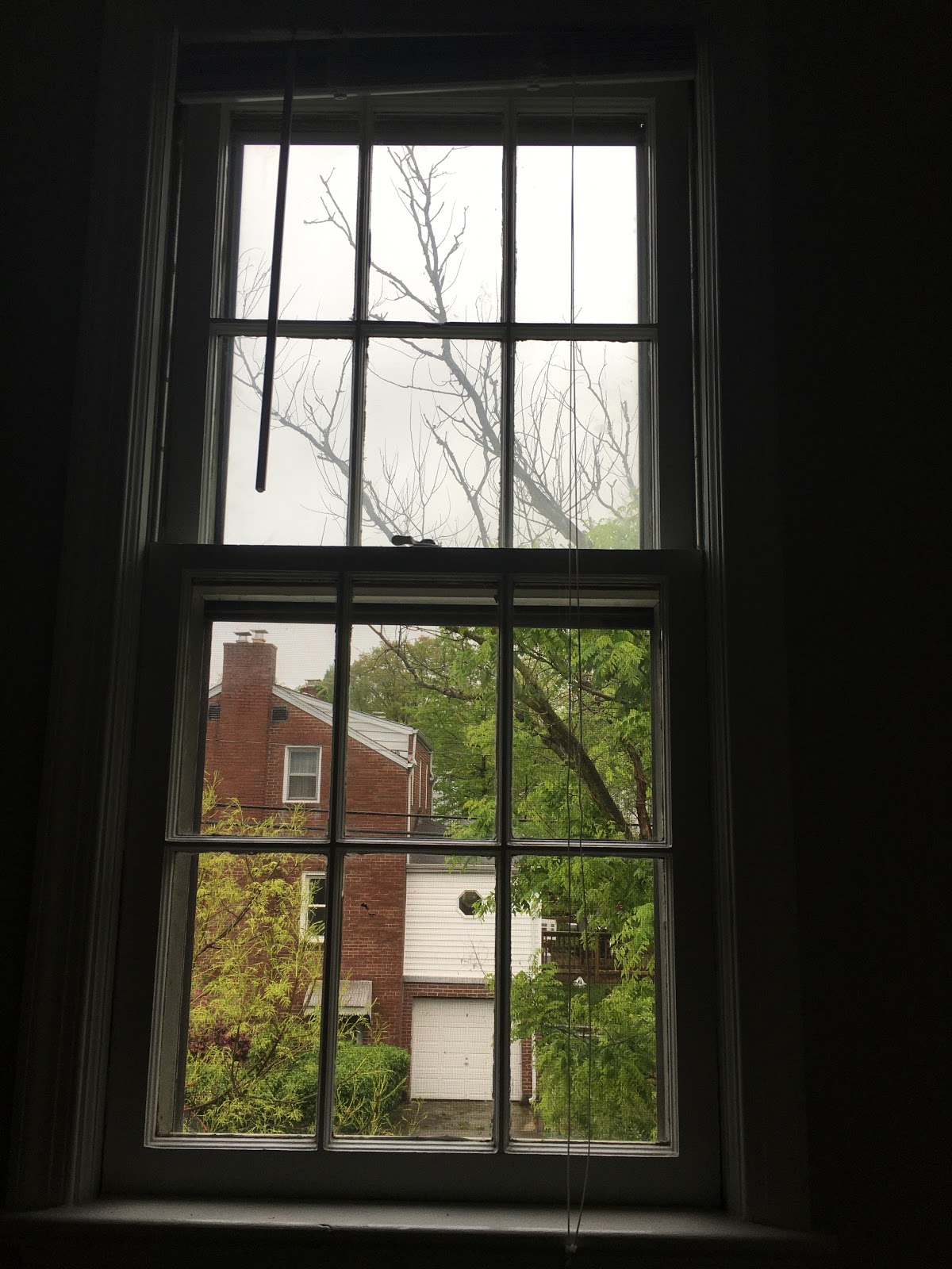 A Room with a View | The Phillips Collection