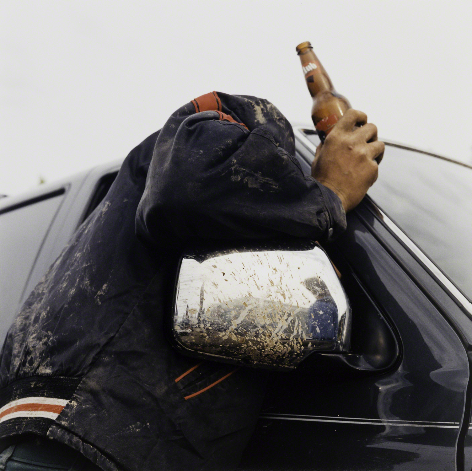 Club Beer (Tree Planting project) | The Phillips Collection