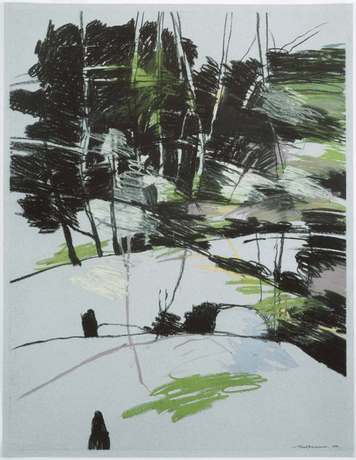 Tree Study | The Phillips Collection