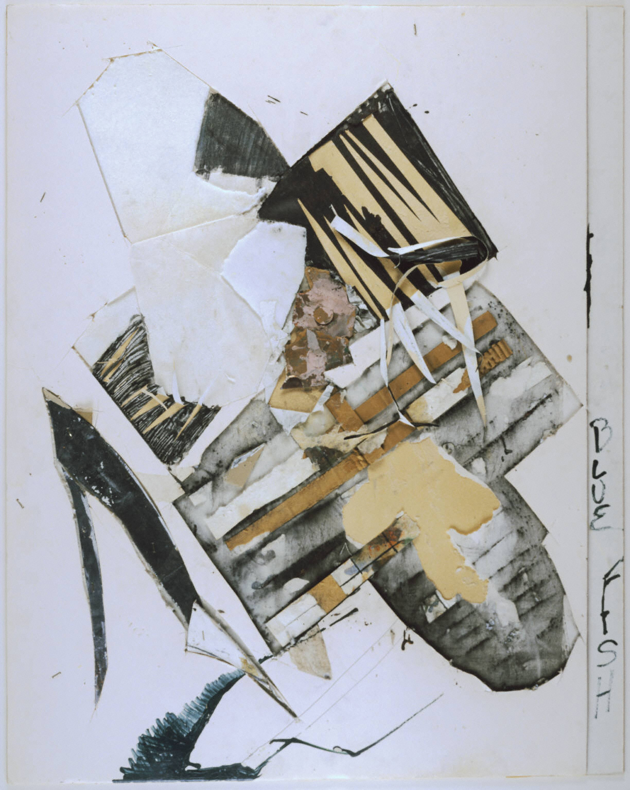 Blue Fish | The Phillips Collection