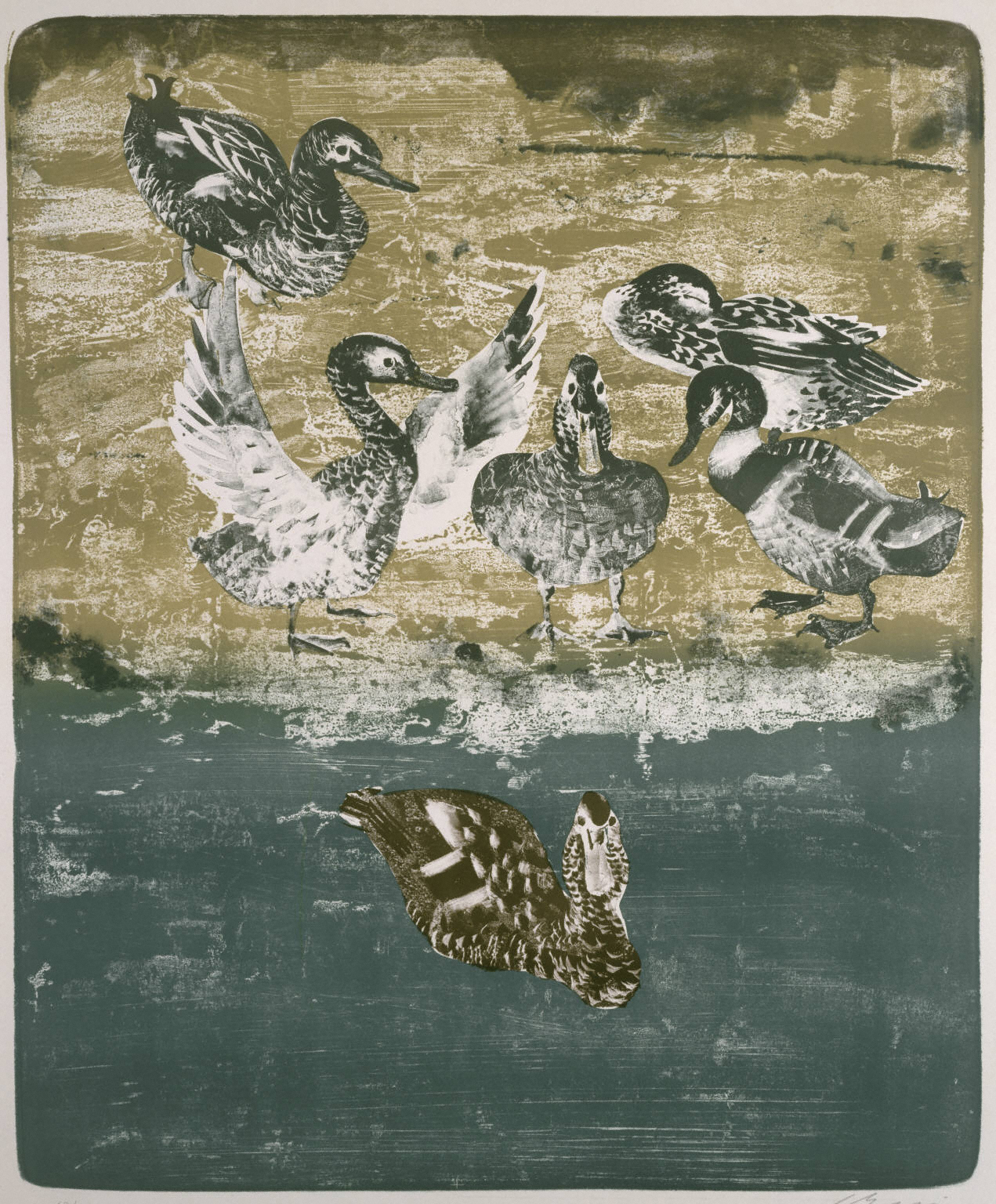 Ducks | The Phillips Collection
