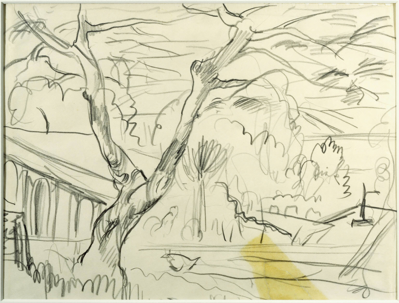 Old Tree | The Phillips Collection