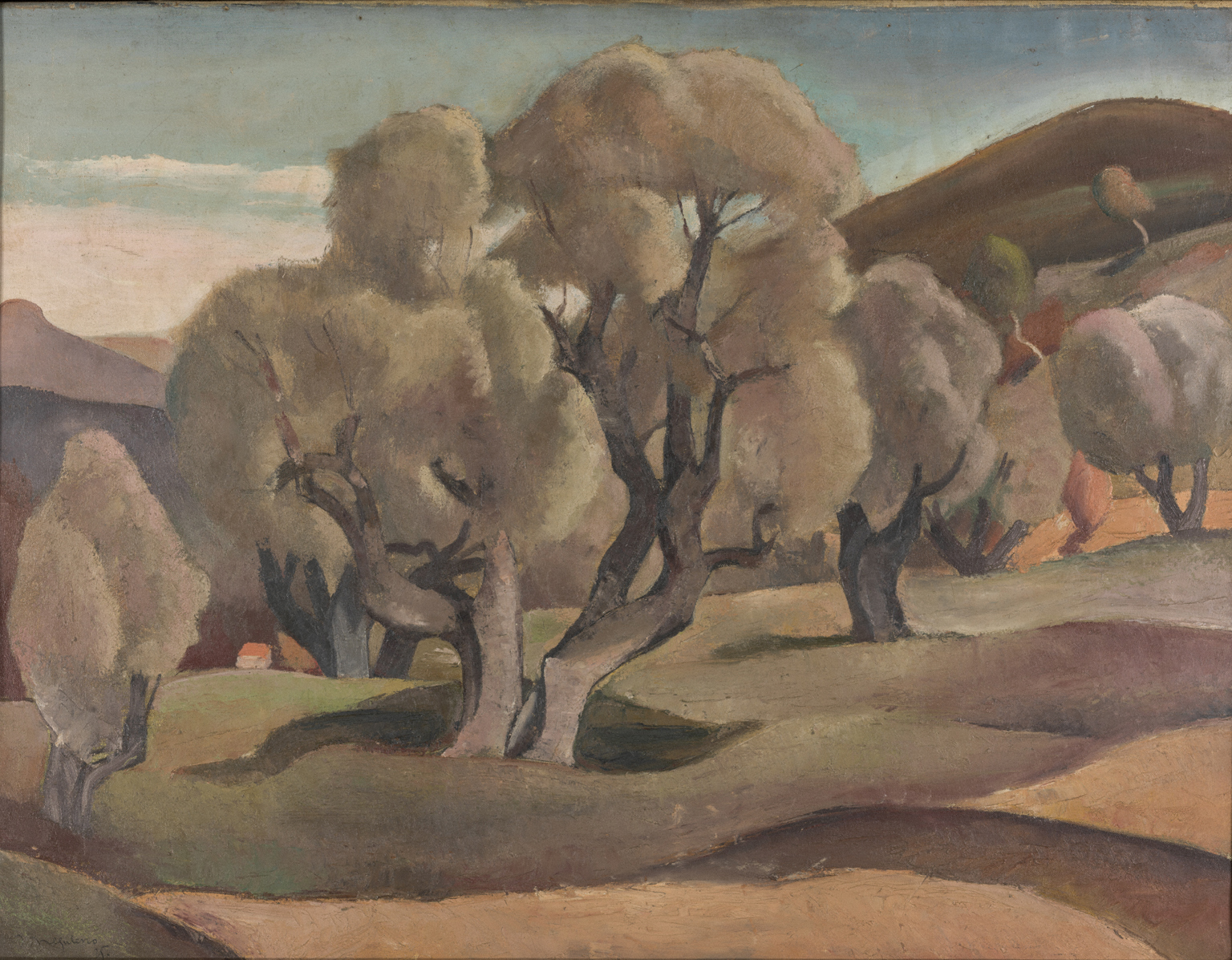 Olive Trees | The Phillips Collection