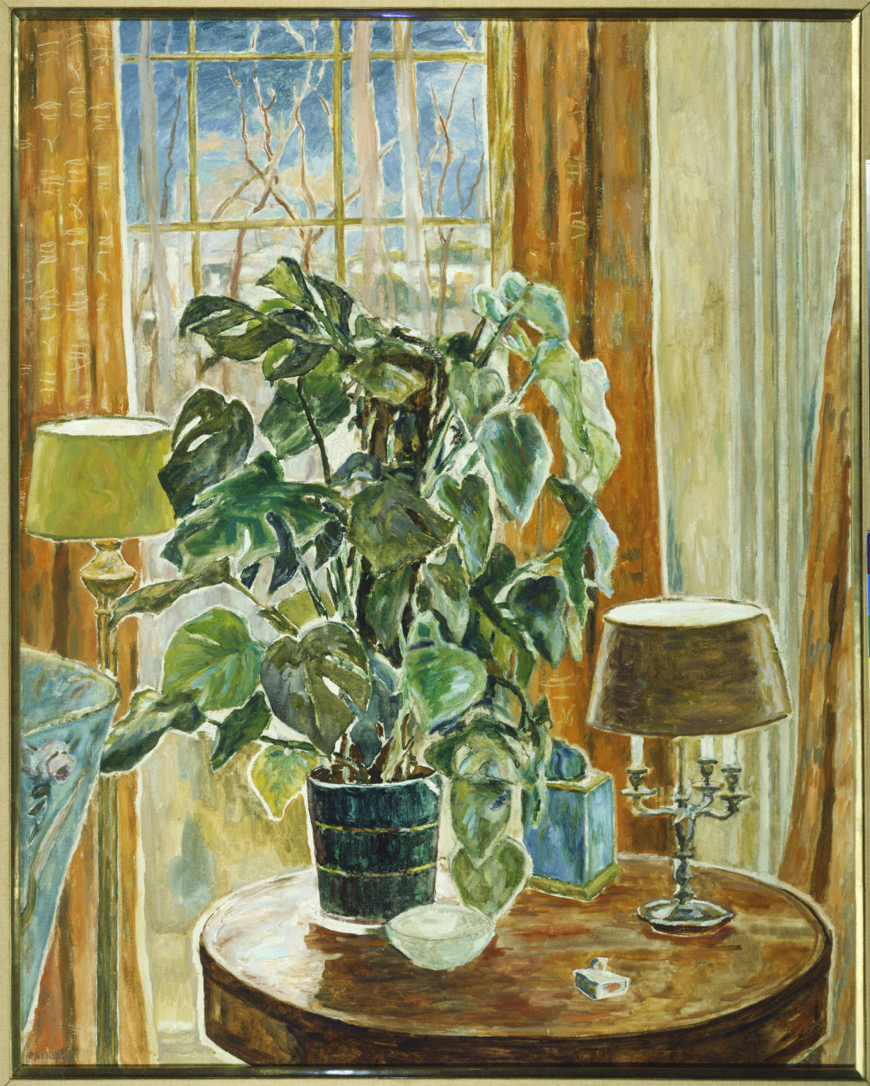 Philodendron | The Phillips Collection