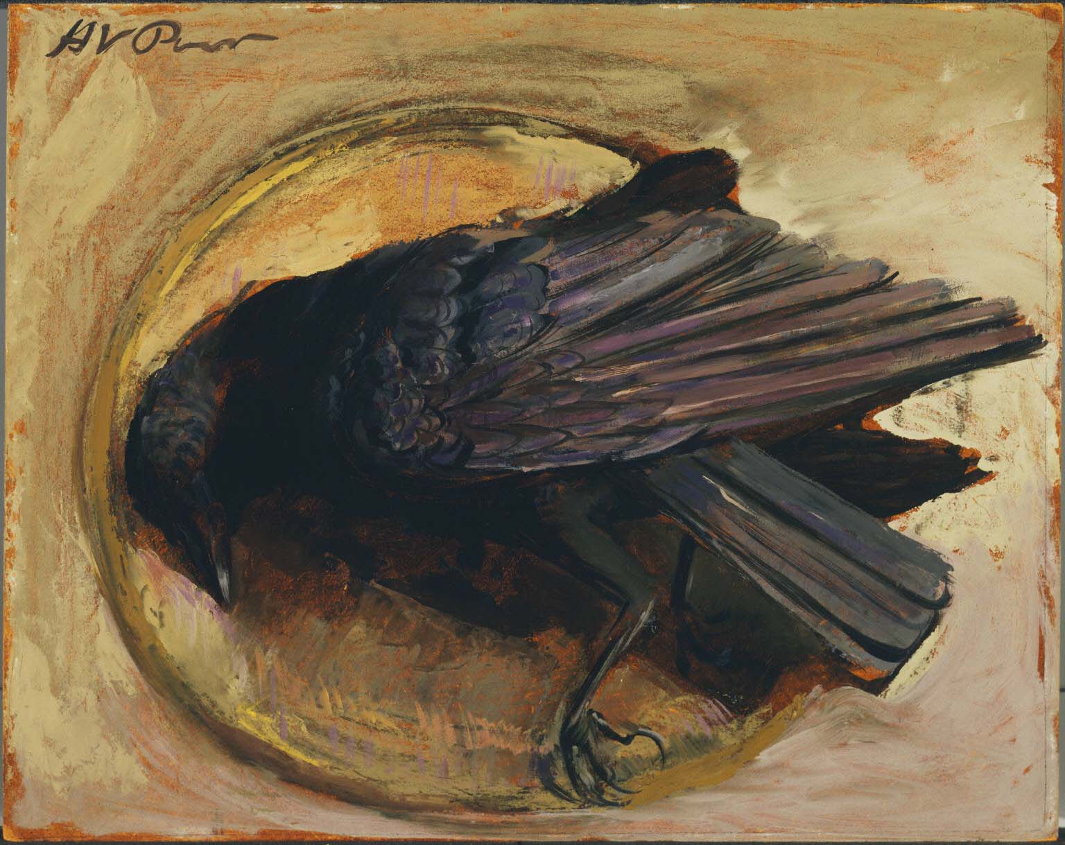 Dead Crow | The Phillips Collection
