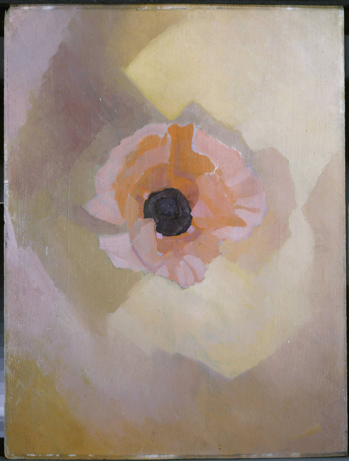 Poppies | The Phillips Collection