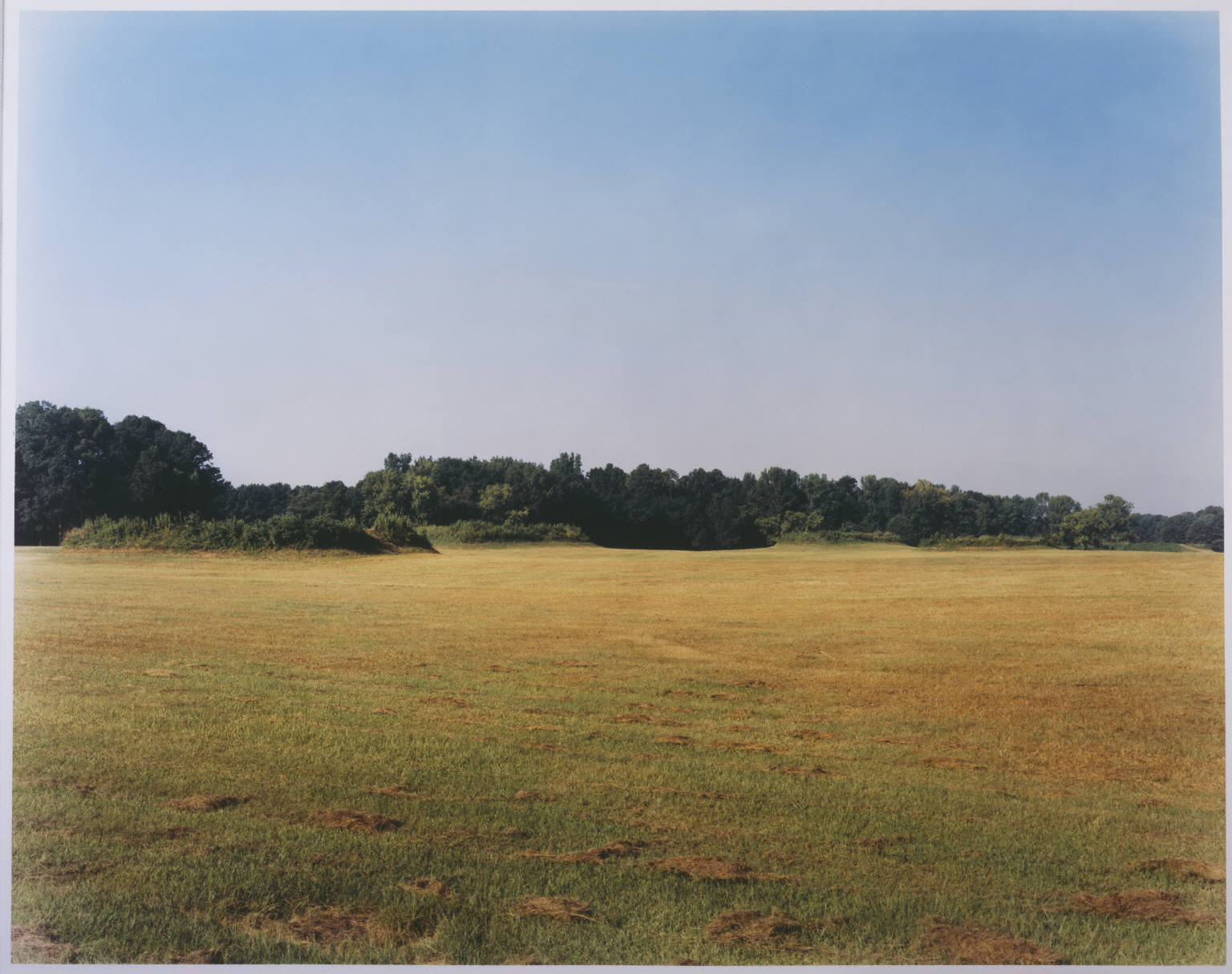 Indian Mounds, near Moundville, Alabama | The Phillips Collection