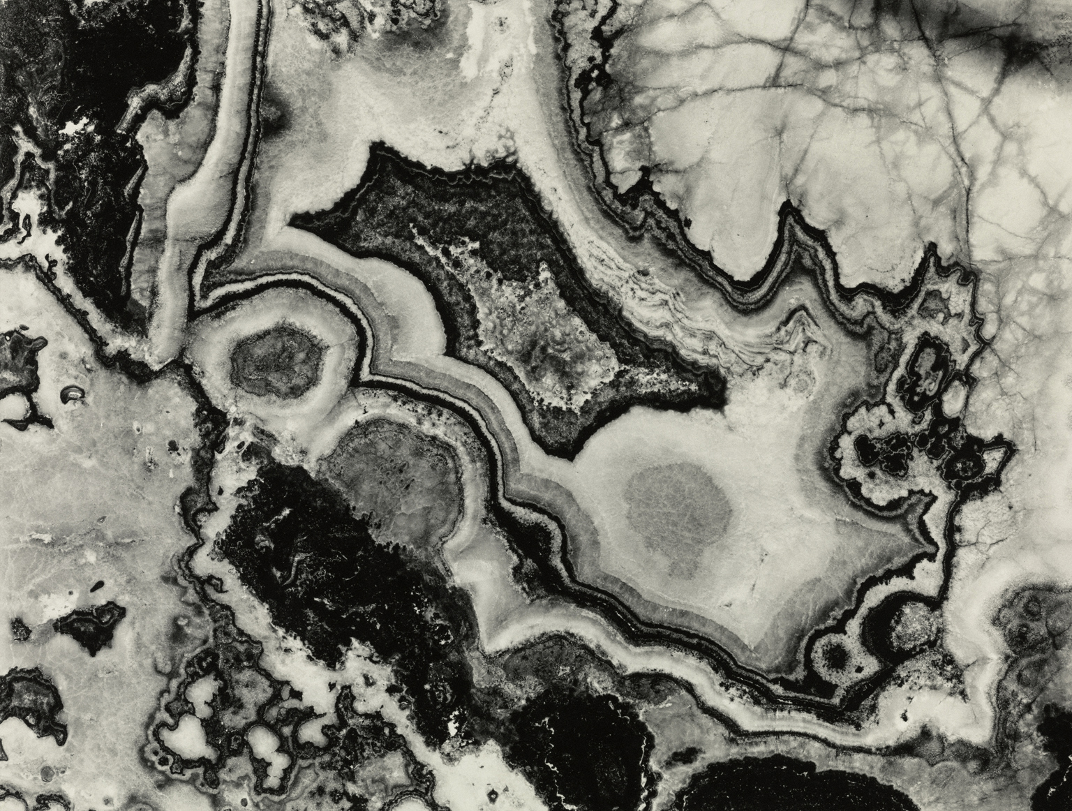 Rock Abstraction, Alaska | The Phillips Collection