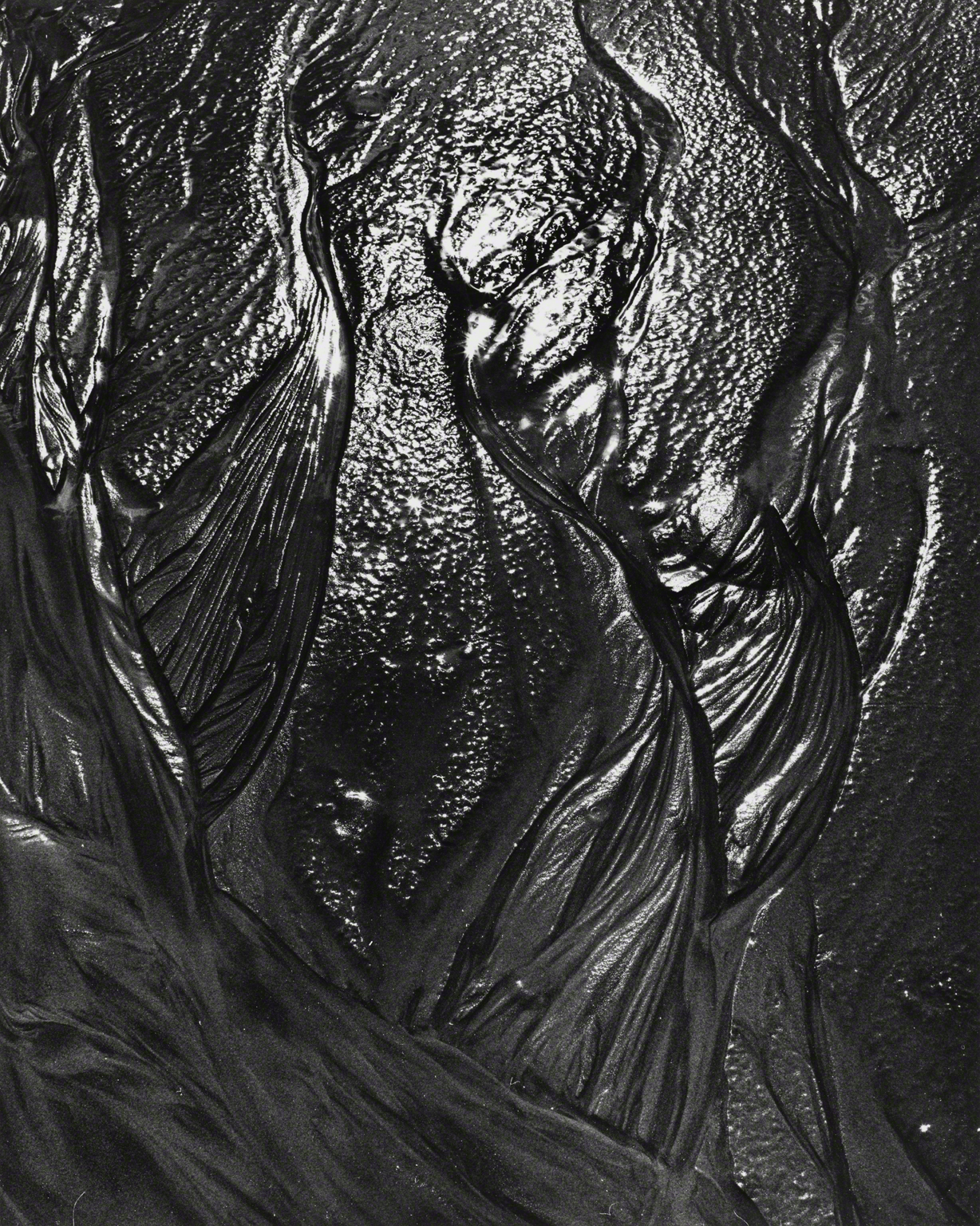 Sand and Water | The Phillips Collection