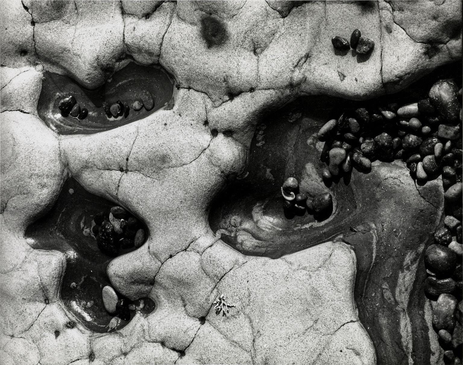 Rock Abstraction | The Phillips Collection