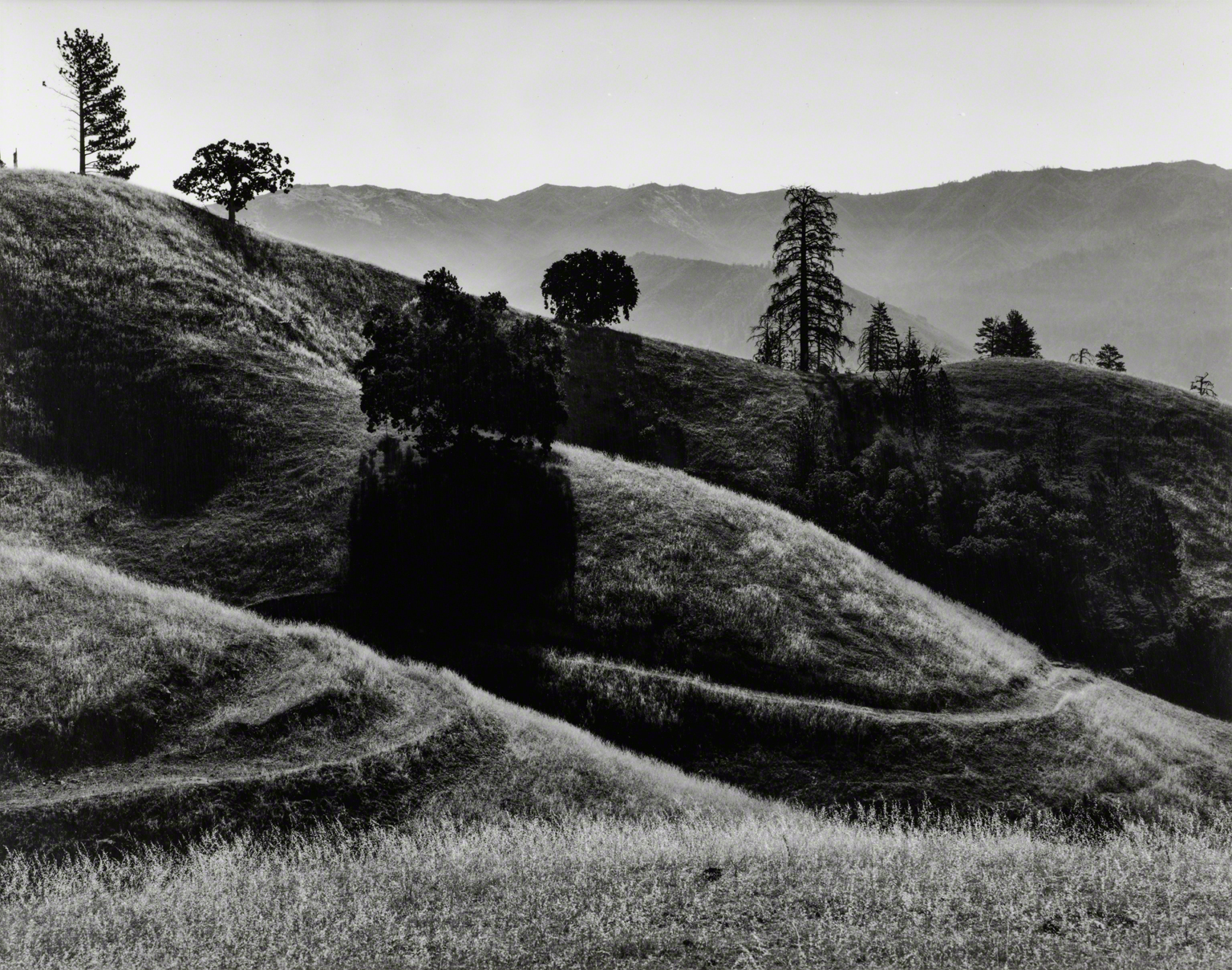 Landscape, Hills | The Phillips Collection
