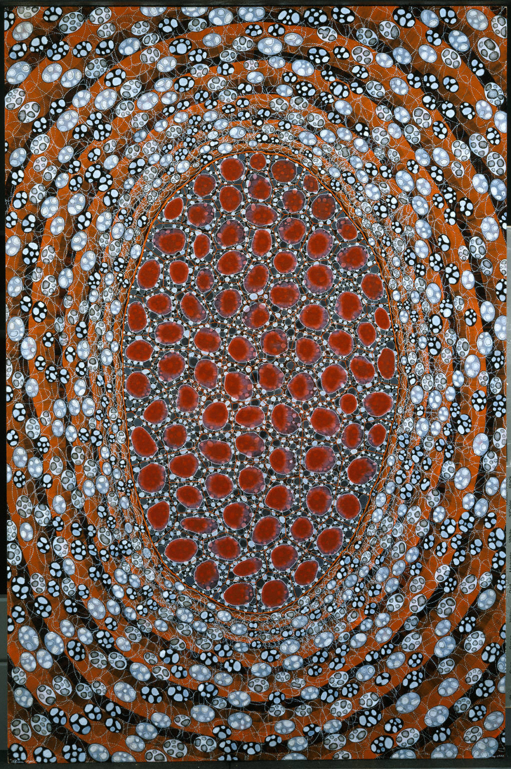 Alien Pools | The Phillips Collection