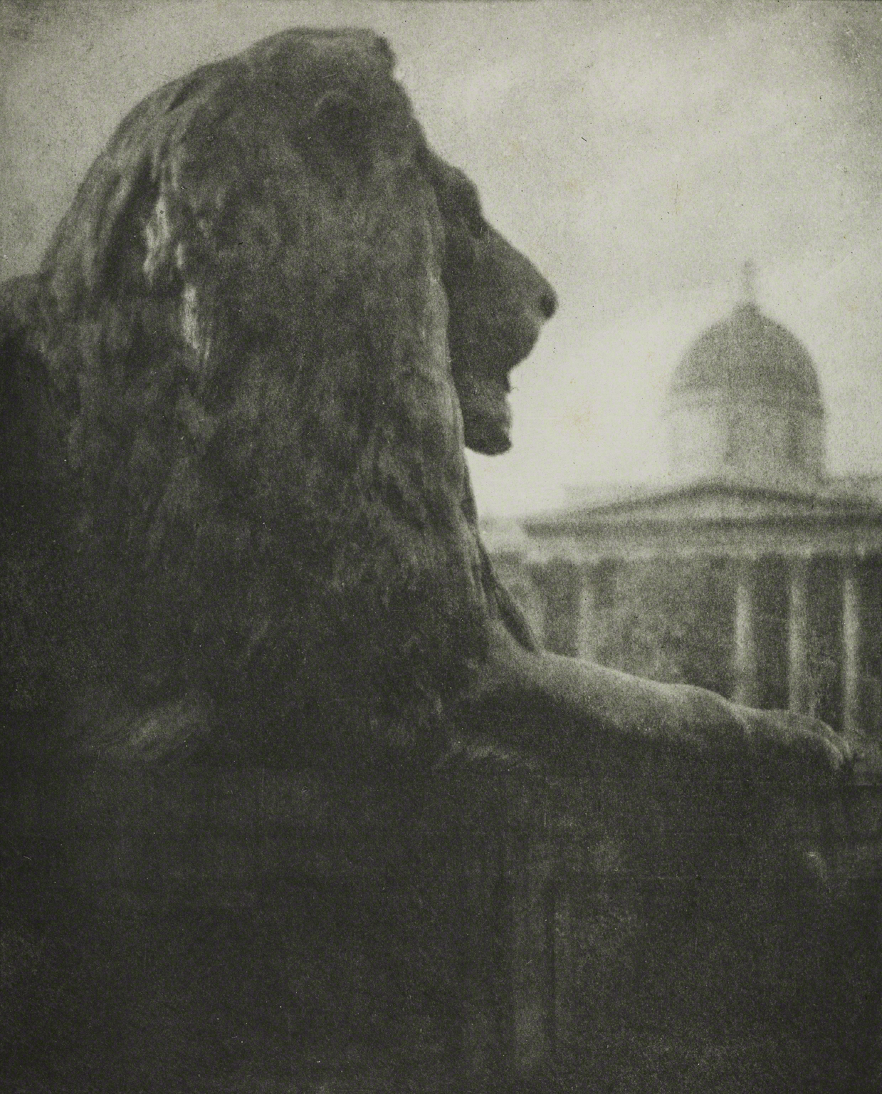 The British Lion | The Phillips Collection