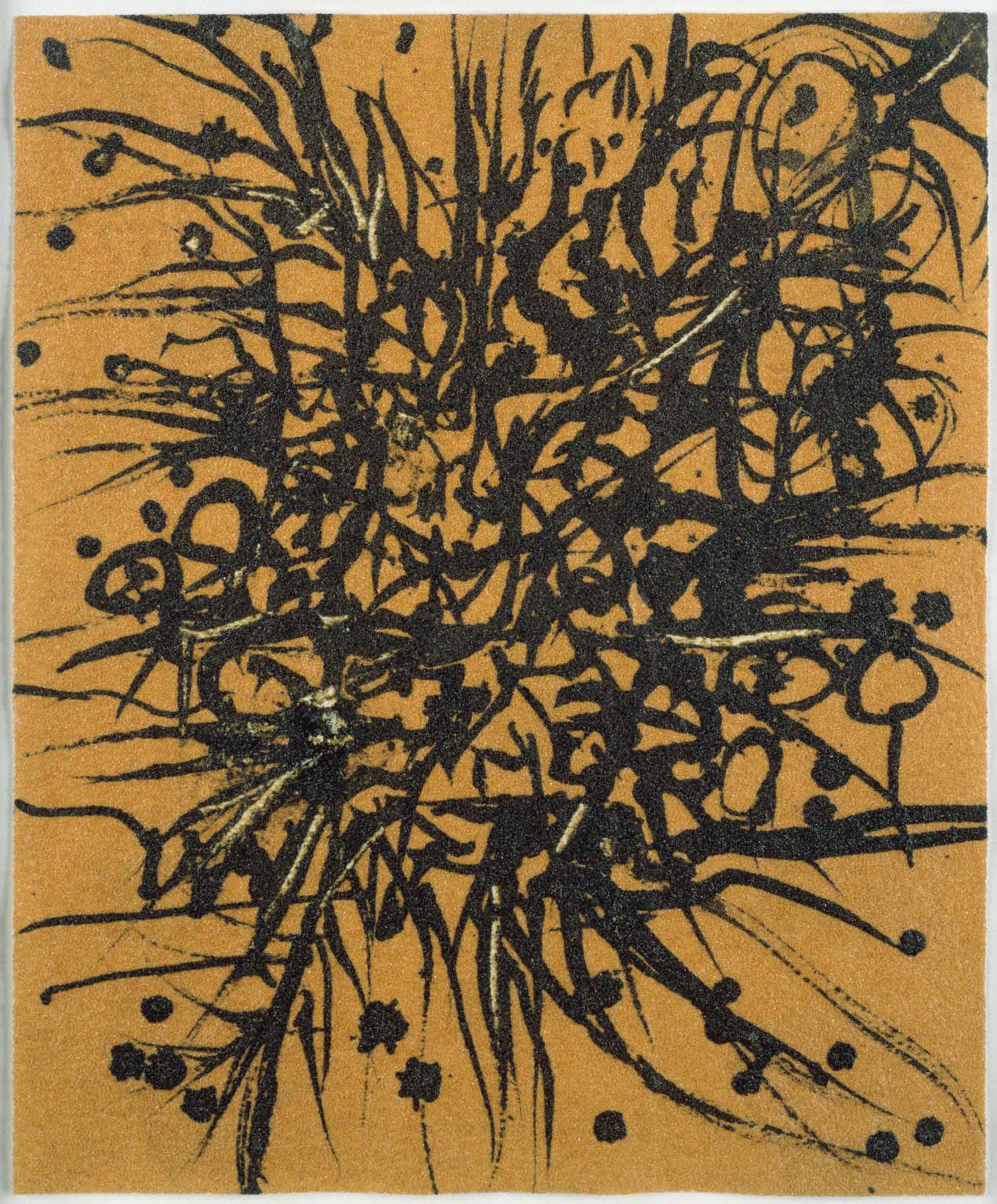 Tree | The Phillips Collection