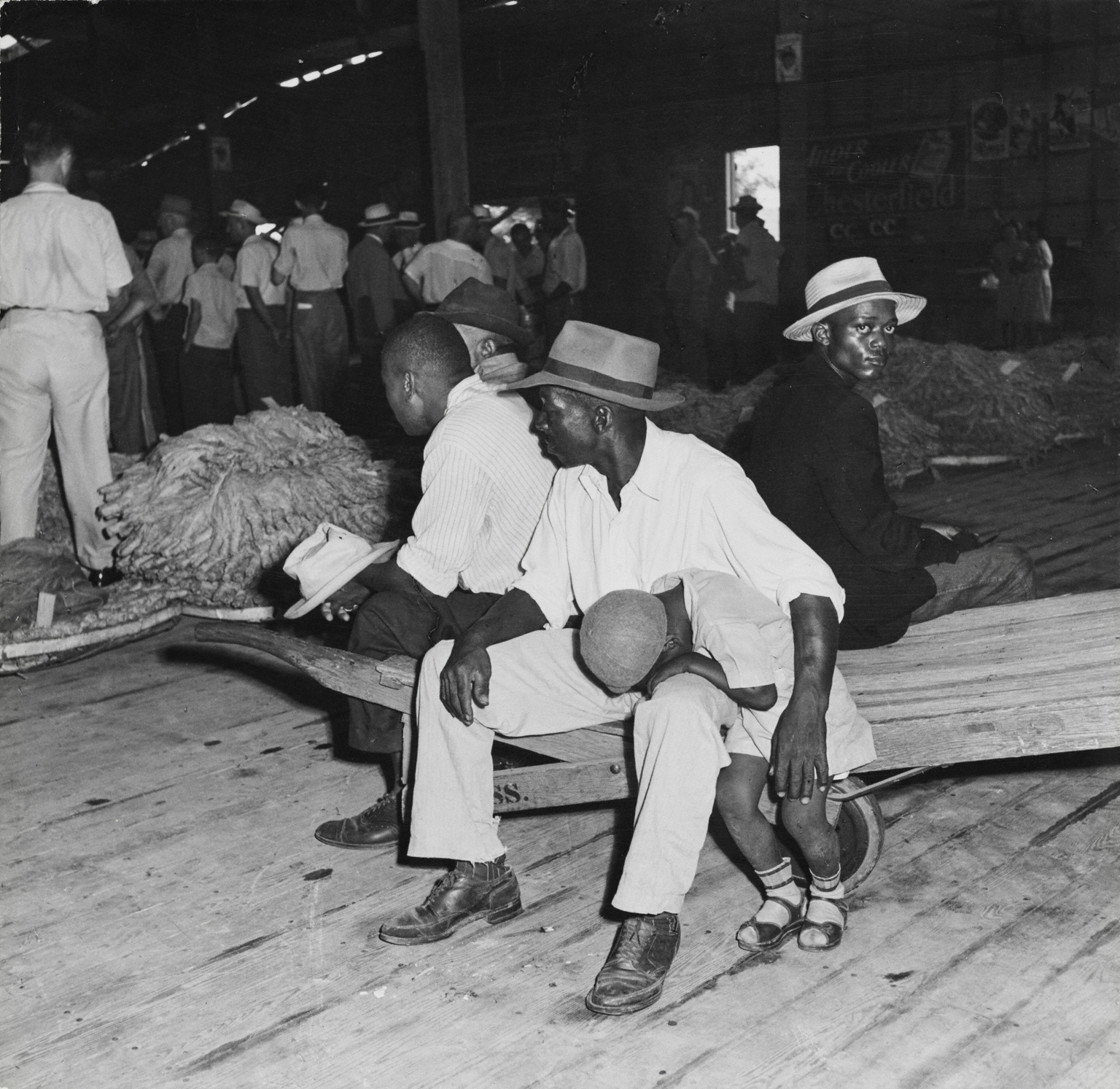 Tobacco Farmers Waiting To See What Price Their Crop Will Bring At tobacco-farmers-waiting-to-see-what-price-their-crop-will-bring-at