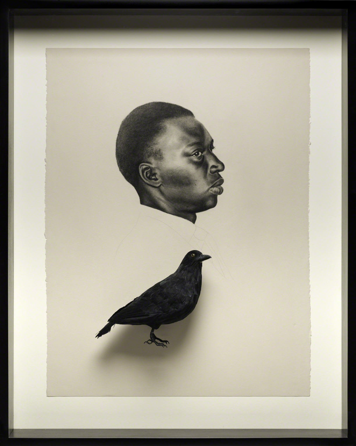 Kin XLI (Fauna) | The Phillips Collection
