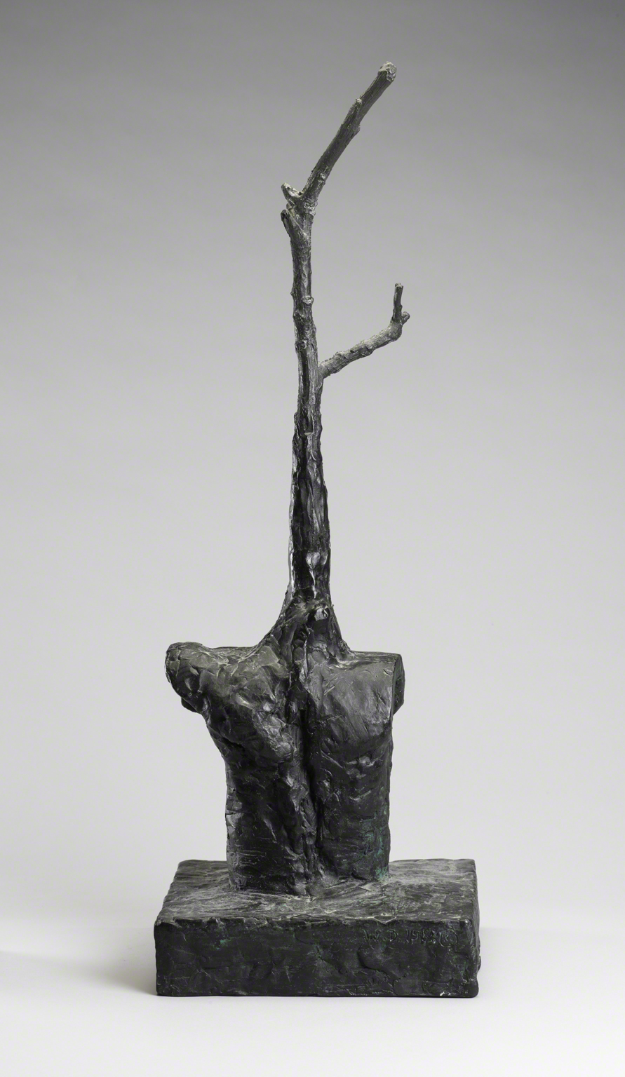 Untitled (Baum am Torso/Tree on Torso) | The Phillips Collection