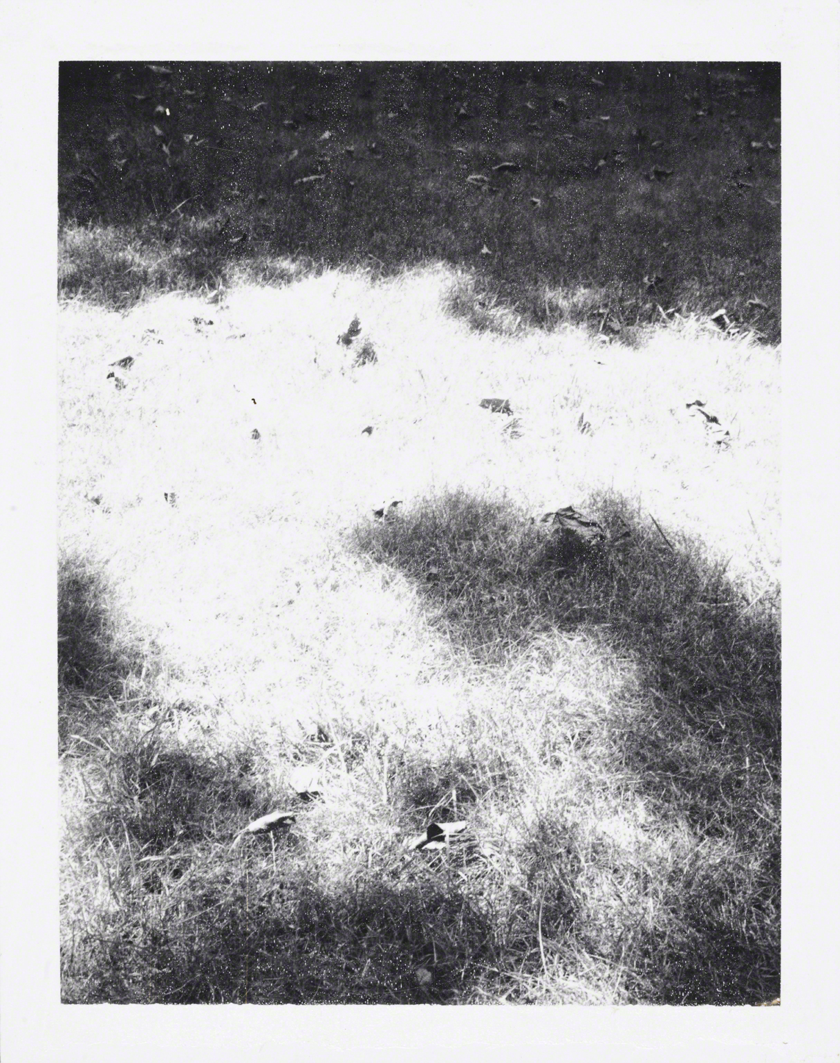 Untitled (from Little Red Book 169) | The Phillips Collection