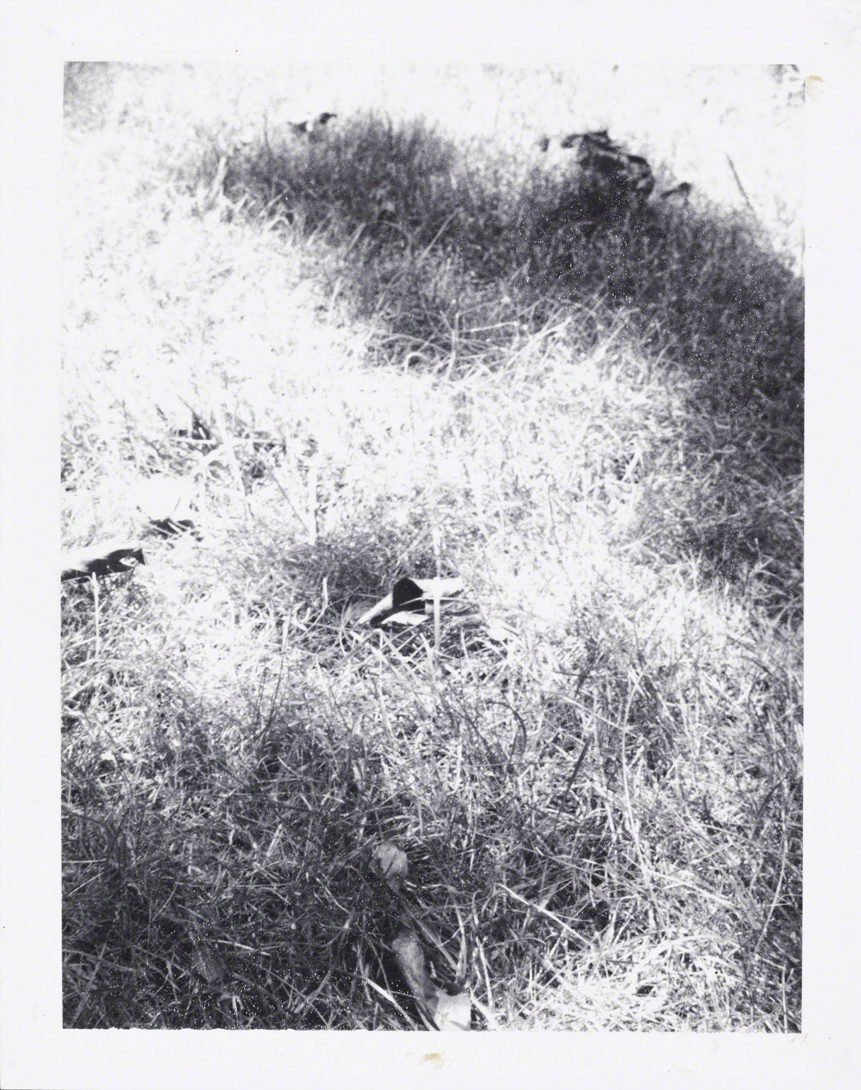 Untitled (from Little Red Book 169) | The Phillips Collection