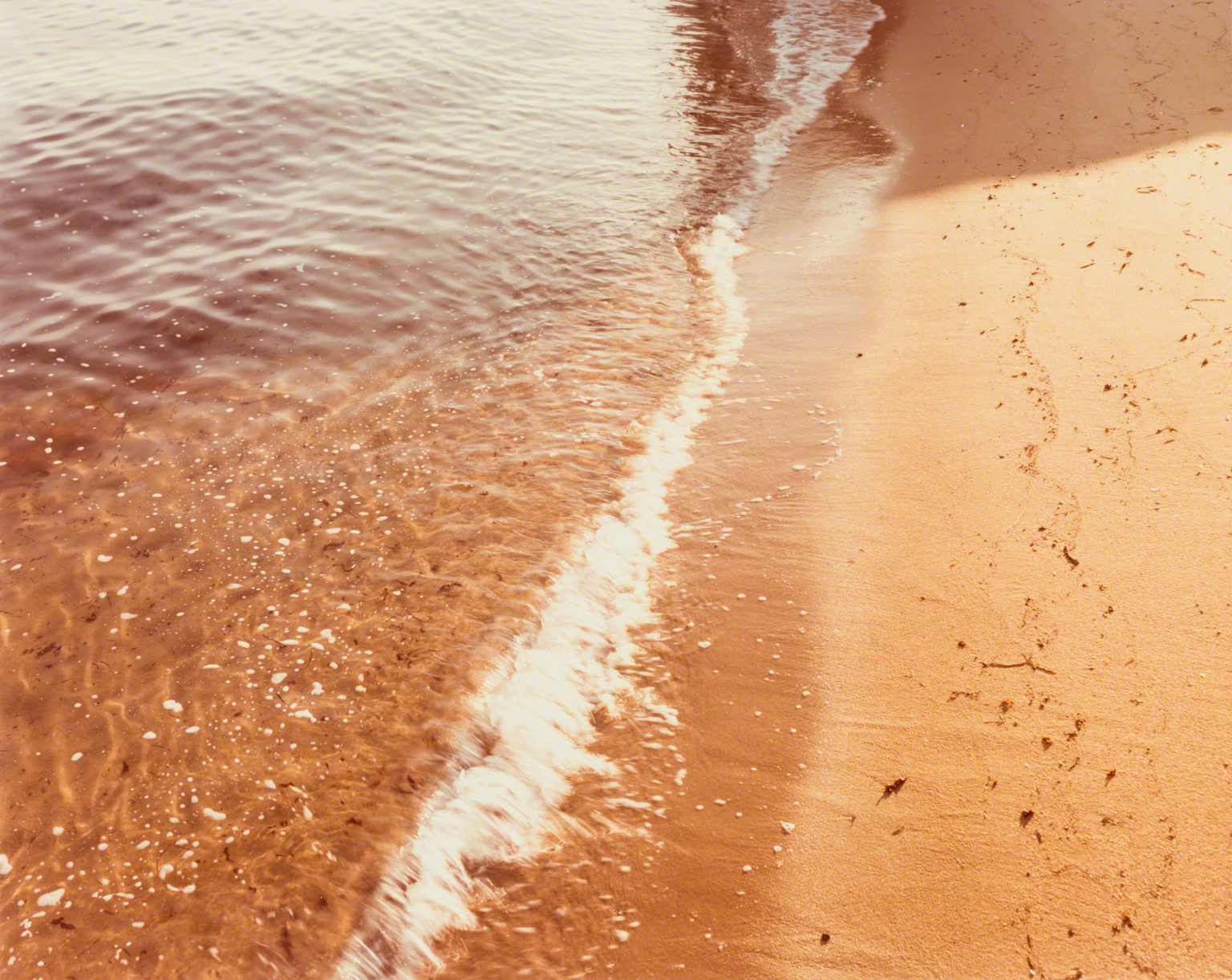 Wave, 1981 | The Phillips Collection