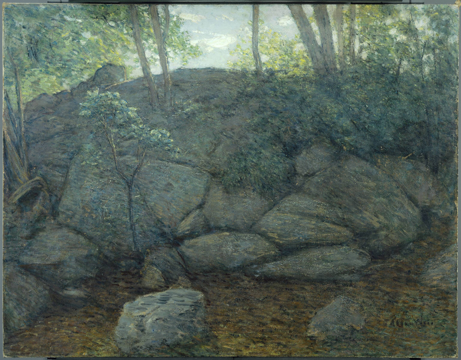 Woodland Rocks | The Phillips Collection