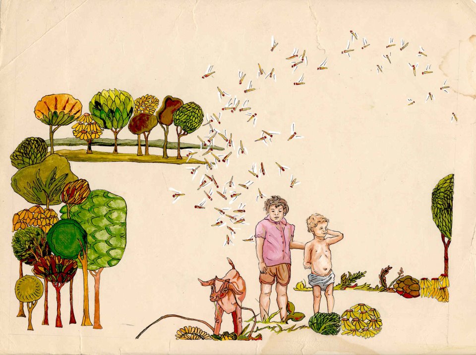 Staff Show 2016: Elizabeth Sampson | The Phillips Collection