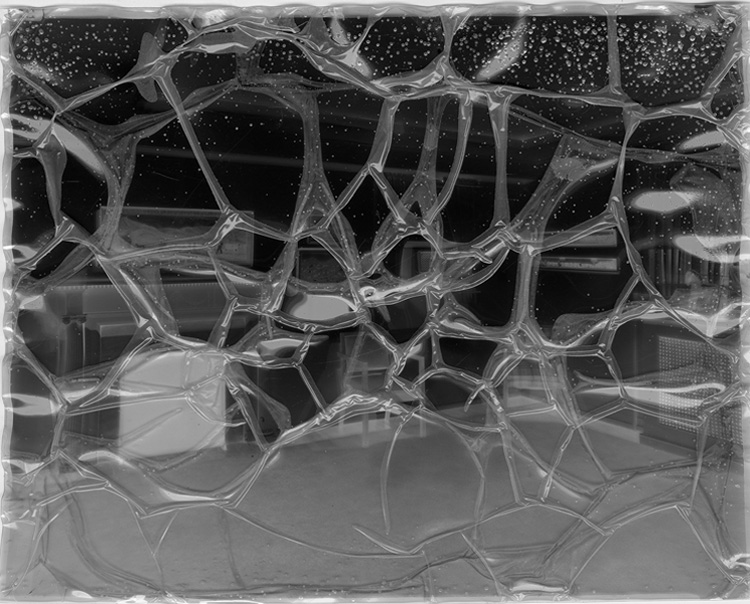 Spotlight on Intersections@5: Vesna Pavlovic | The Phillips Collection