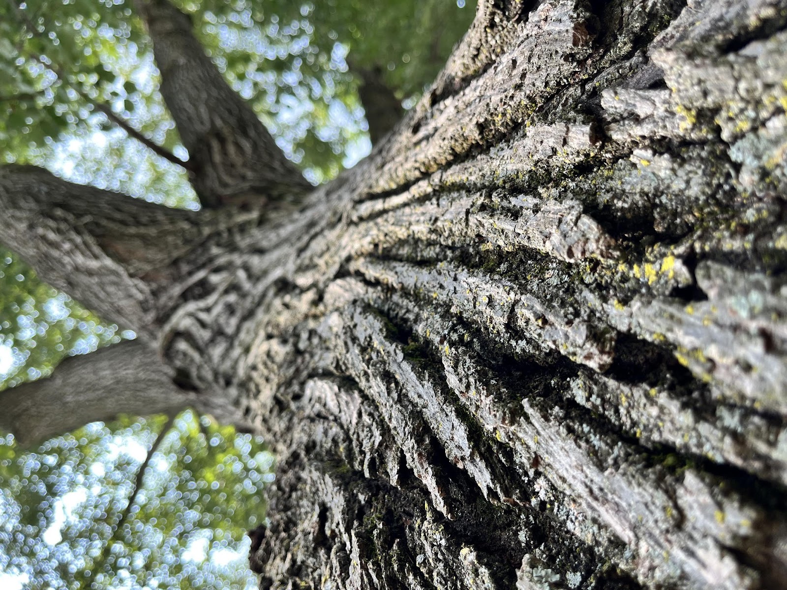 Shifting Perspectives through Photography | The Phillips Collection