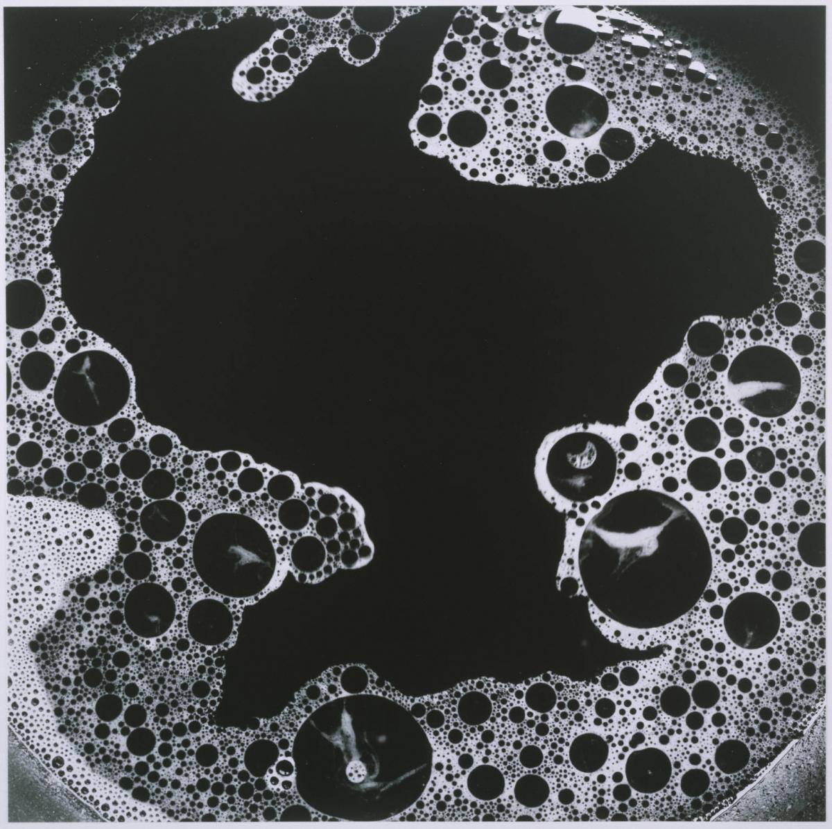 Soap Suds The Phillips Collection