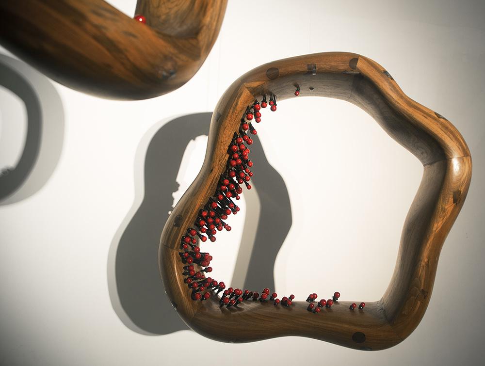 Ranjani Shettar | The Phillips Collection